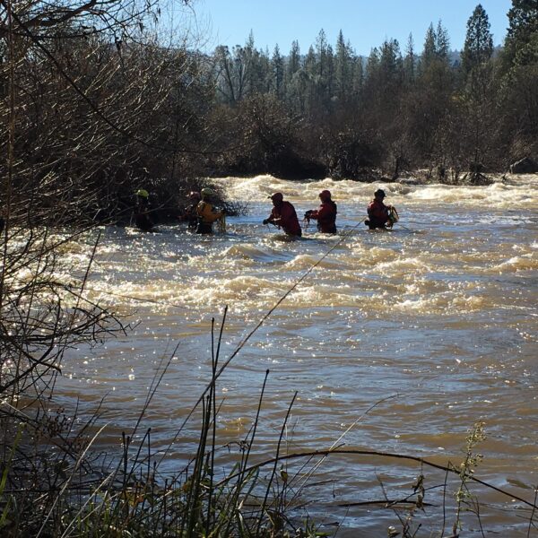Water Safety & Rescue Courses » Rescue 3 International