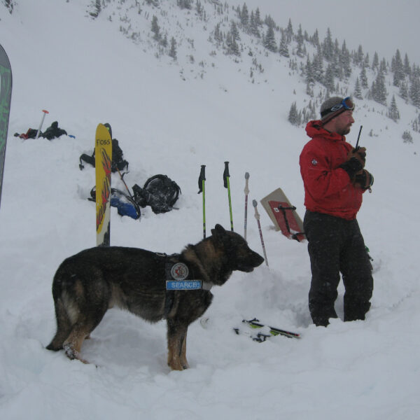 Water Safety & Rescue Courses » Rescue 3 International