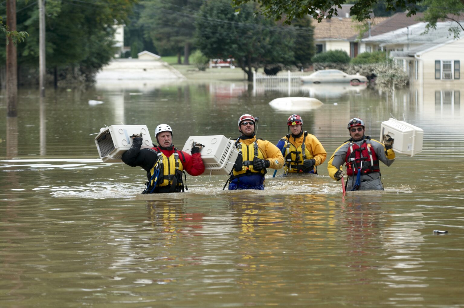 Water Safety & Rescue – Instructor Trainer » Rescue 3 International
